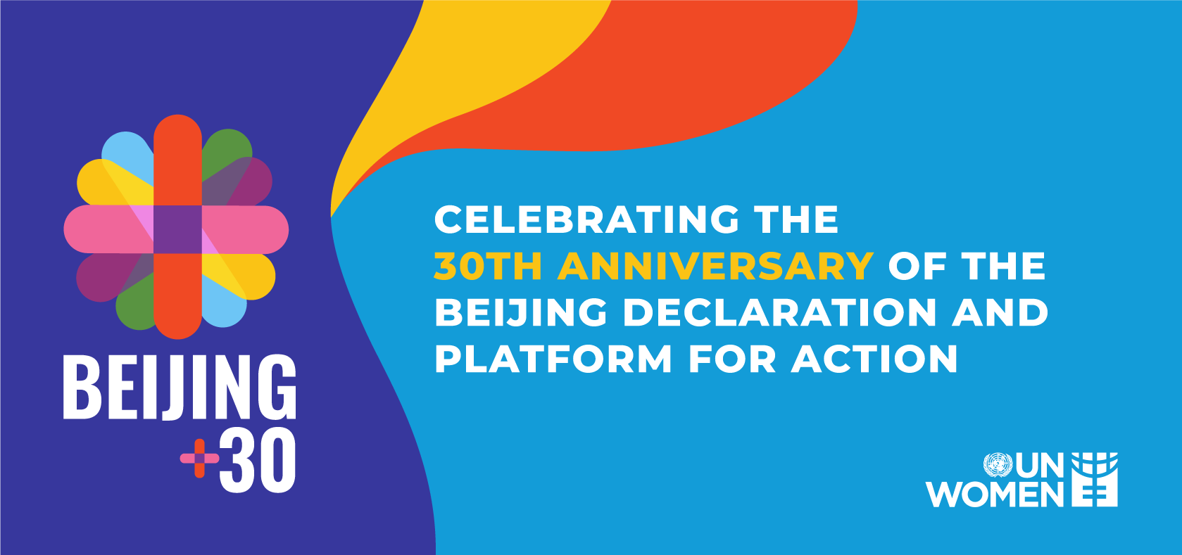 Our intervention at the Beijing+30 Regional Review Meeting Panel ...